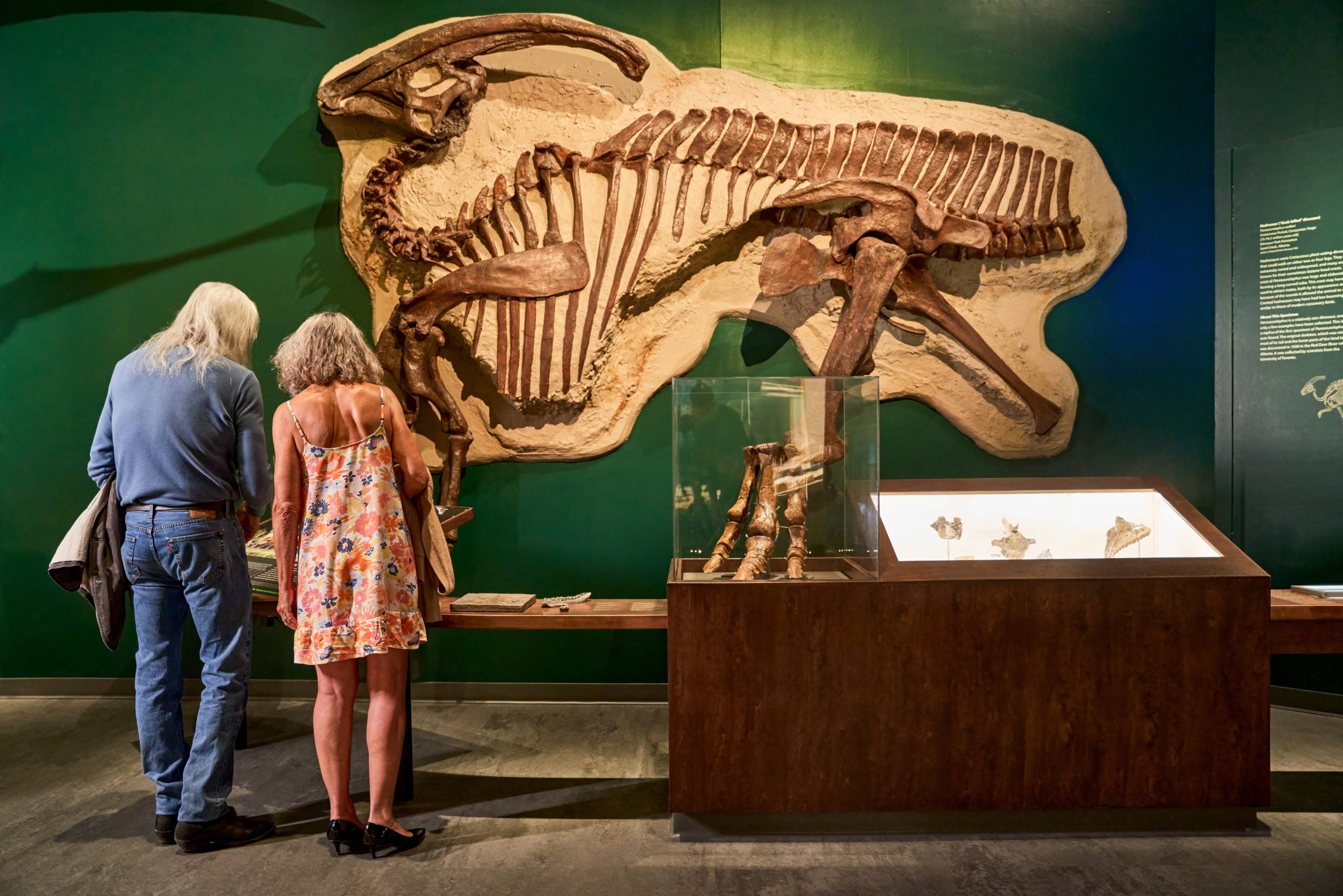 Support One Great Lottery